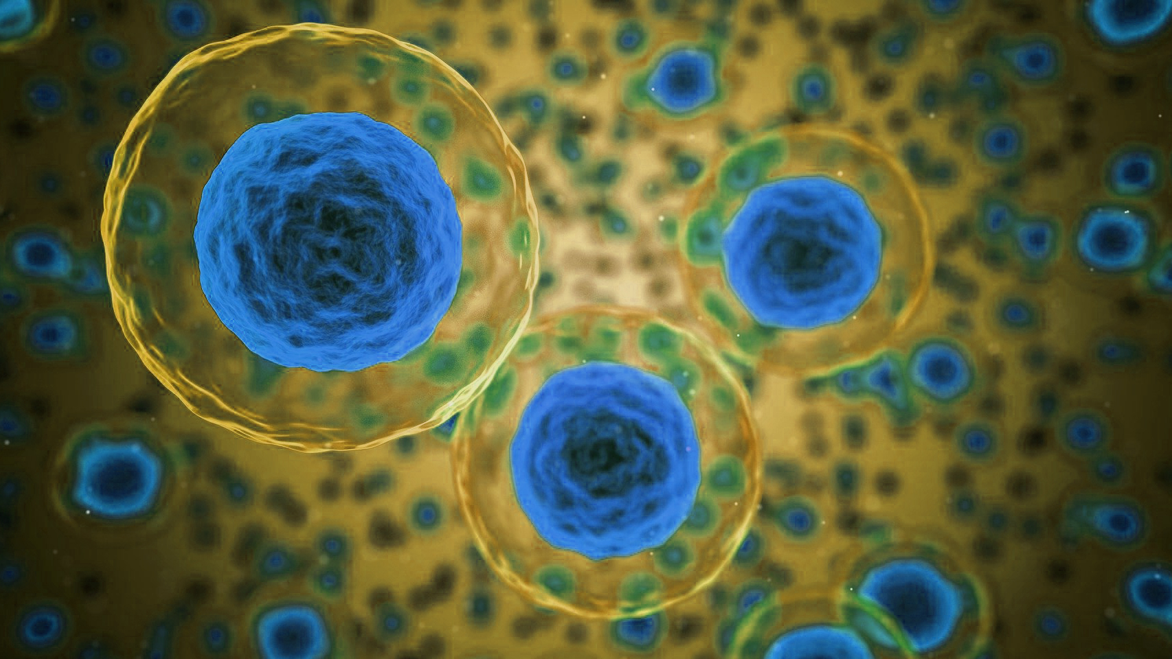 INESC TEC develops smart optical technology for the distinction and ...